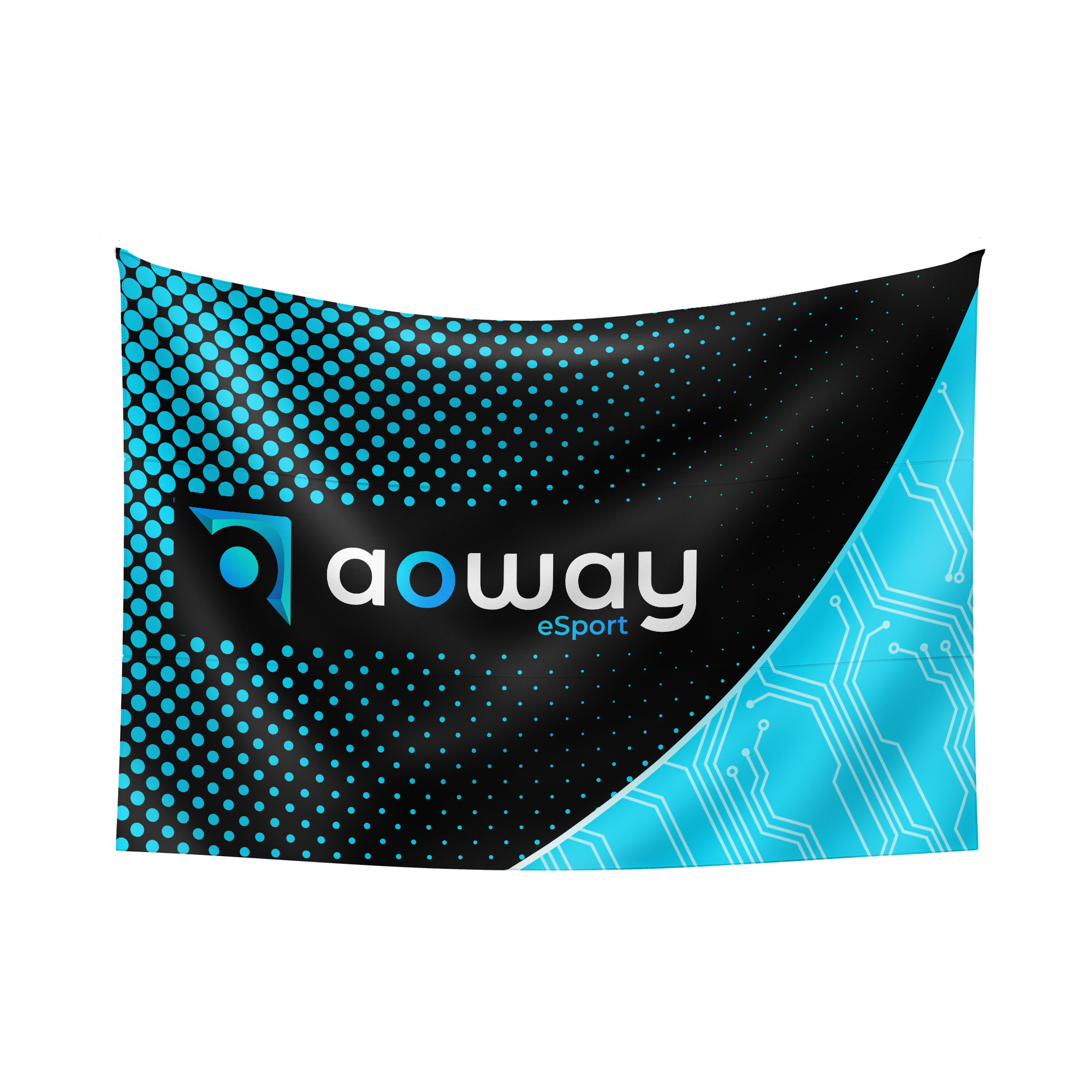 Aoway eSport Flag – Manatee