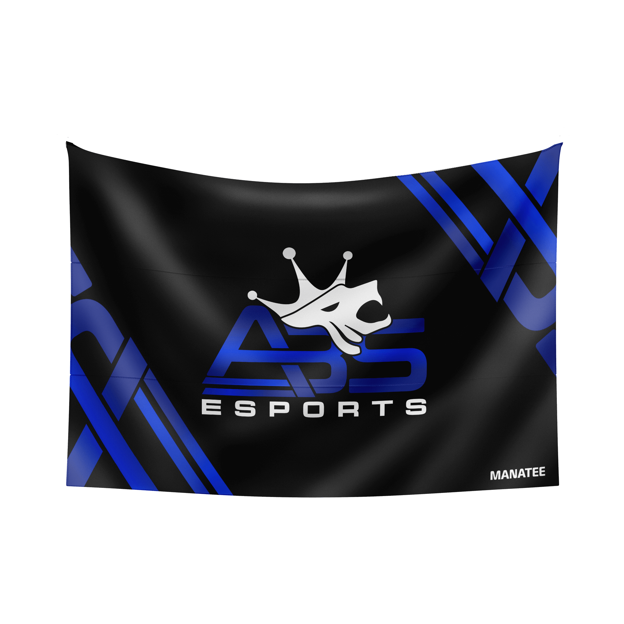 ABS Esports Flag – Manatee