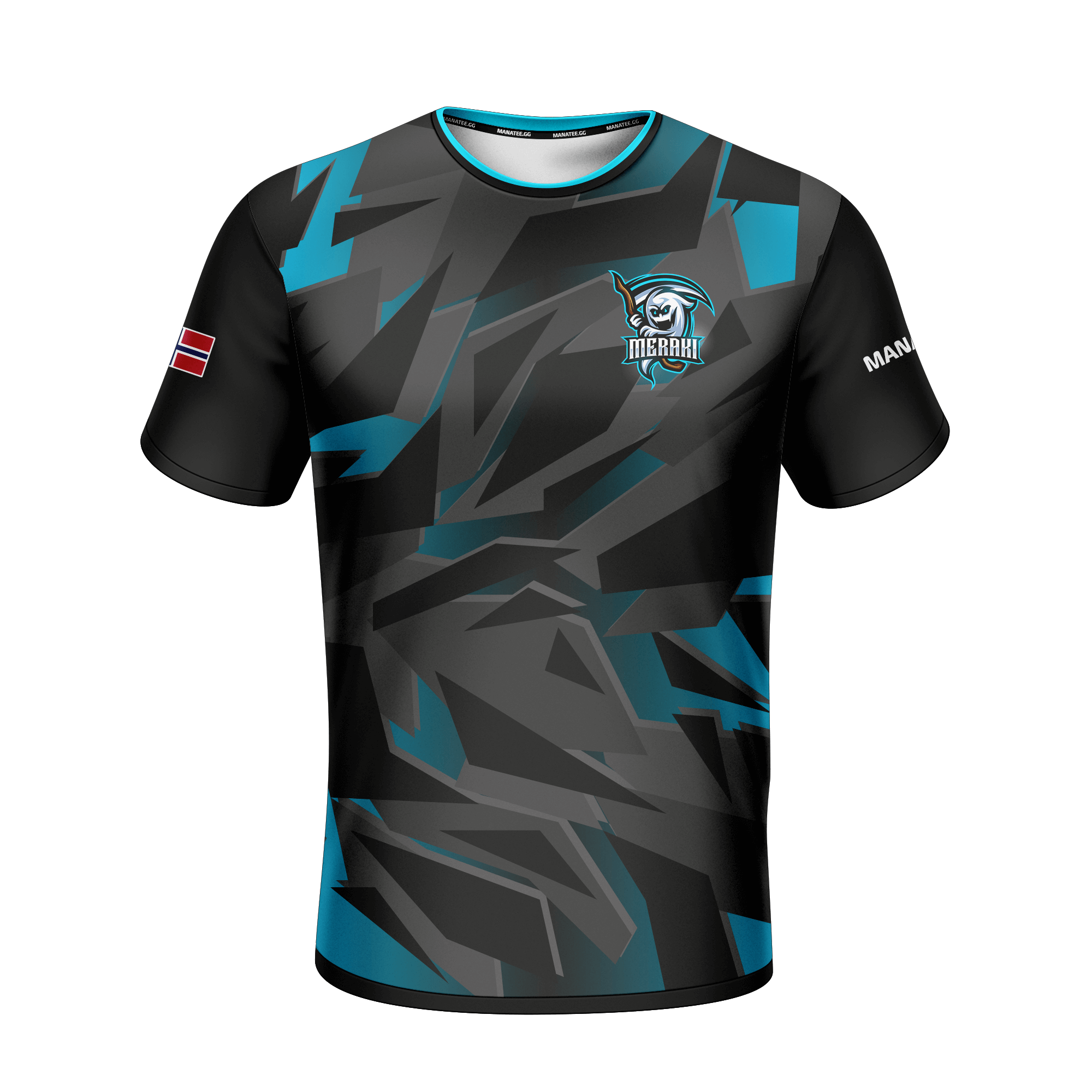 Meraki Jersey – Manatee